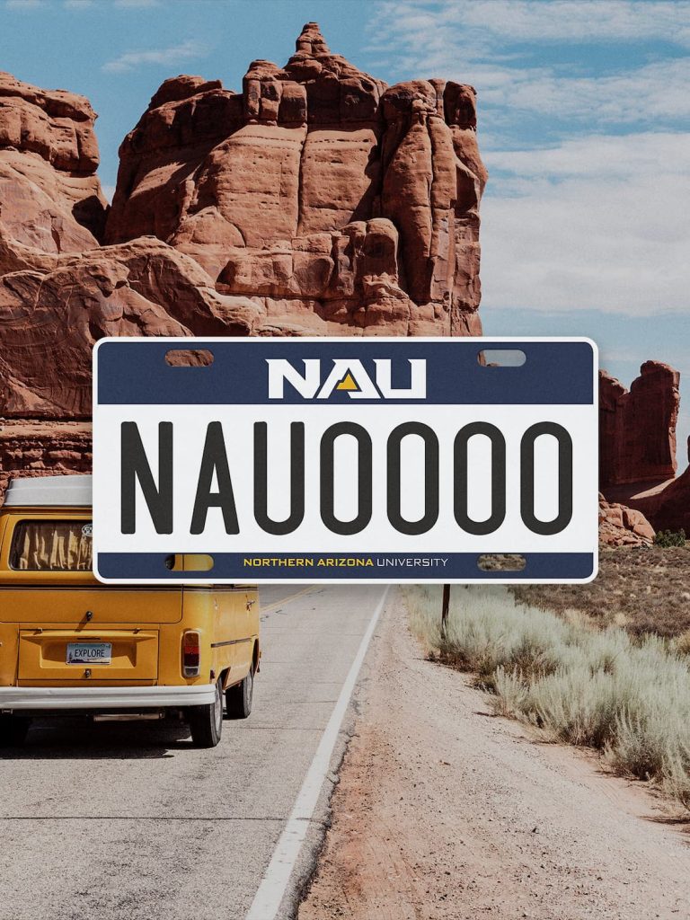 LPR Access Plates - License Plate Recognition - WW&L, Inc.